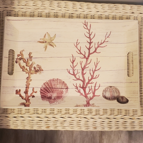 Other | Shell Coral Tray | Poshmark